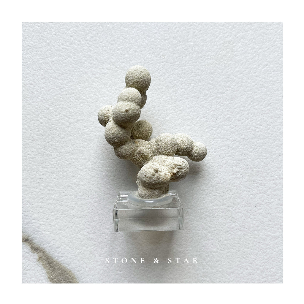 The Acrobat Sand Calcite Concretion – Stone and Star