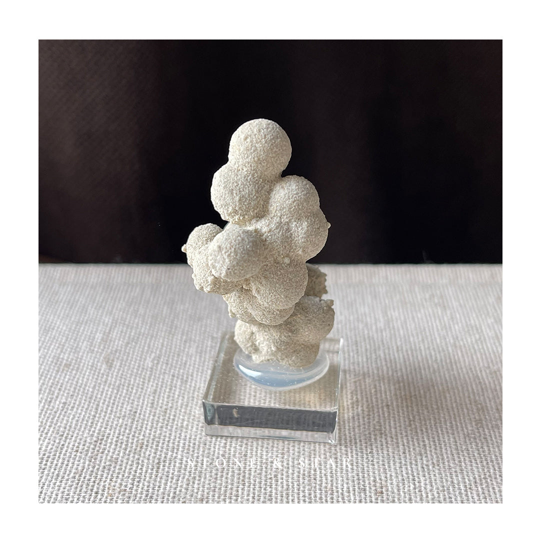 The Acrobat Sand Calcite Concretion – Stone and Star
